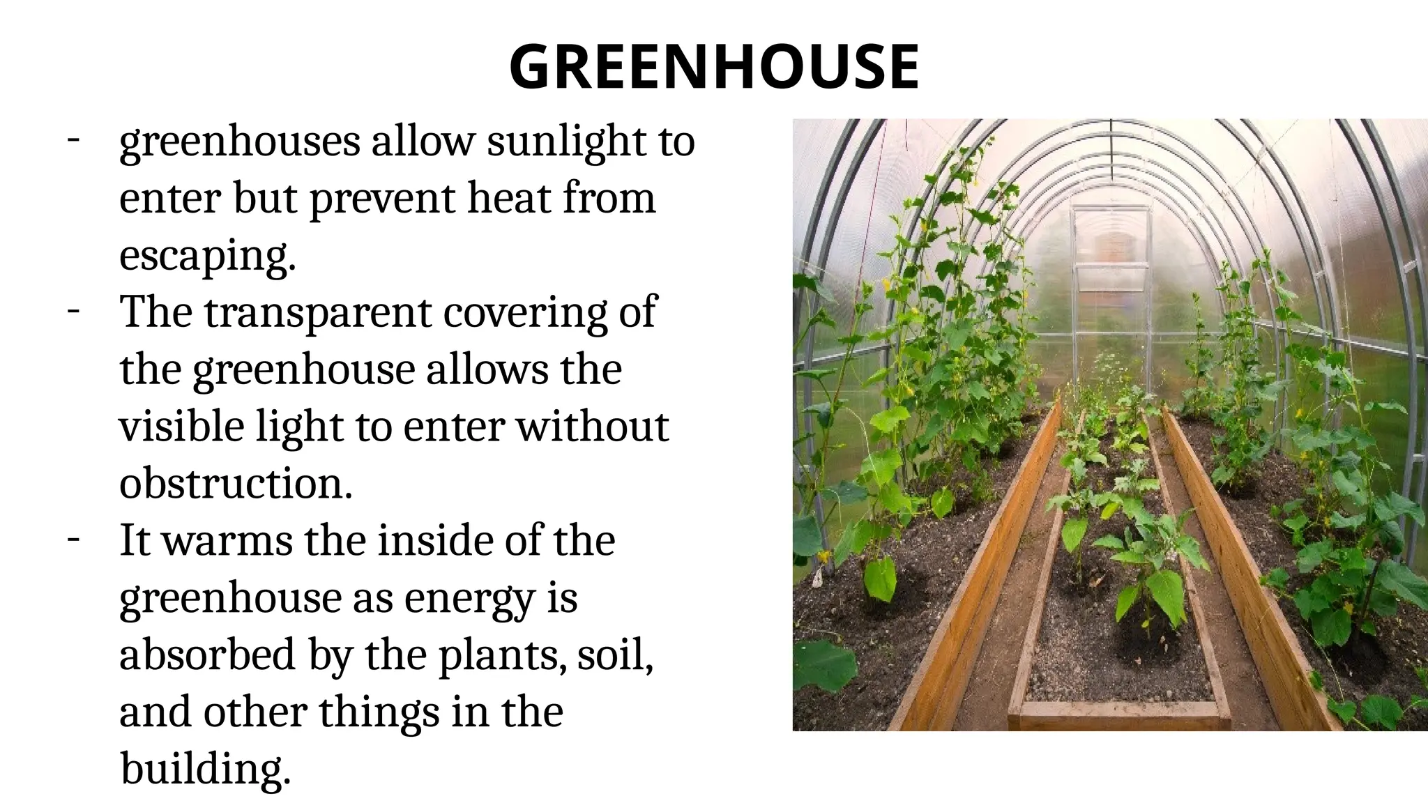 greenhouse-effect-infographics.pptx the green house effect | PPTX