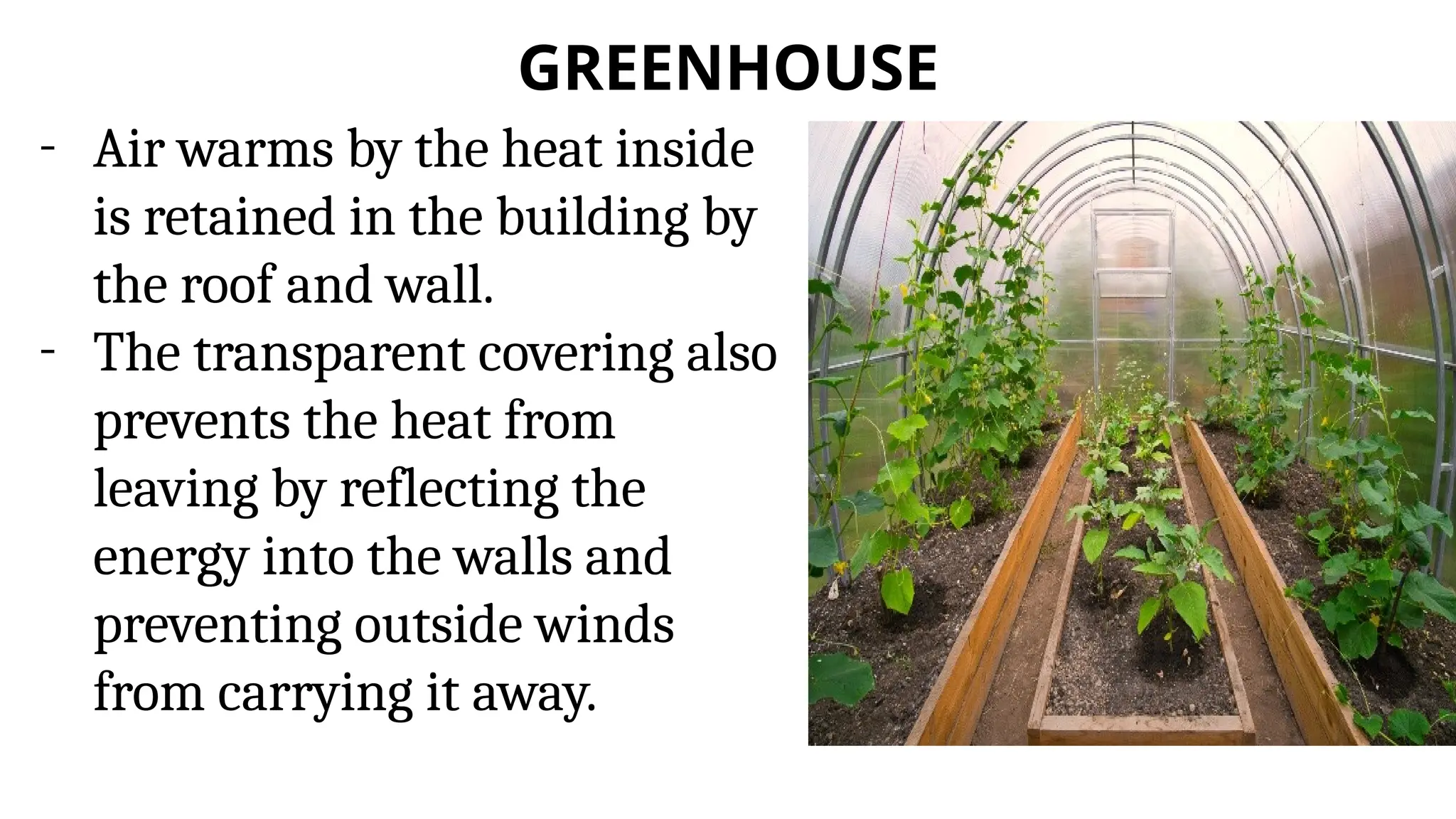 greenhouse-effect-infographics.pptx the green house effect | PPTX