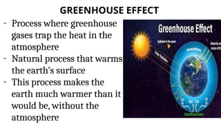Greenhouse Effect Infographics Pptx The Green House Effect Pptx