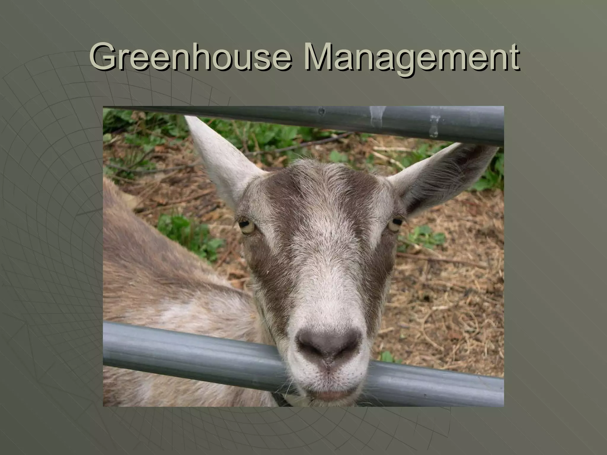 Greenhouse management | PPT