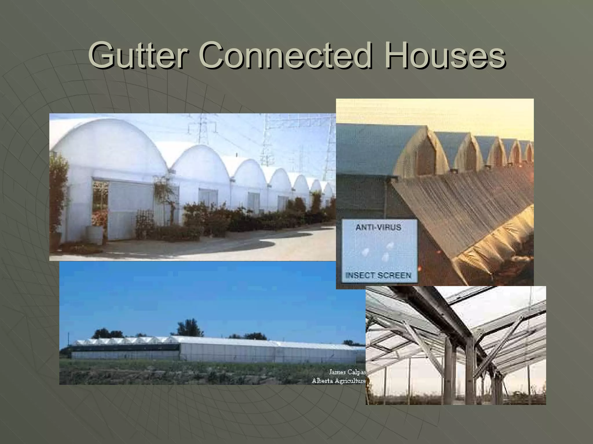 Greenhouse management | PPT