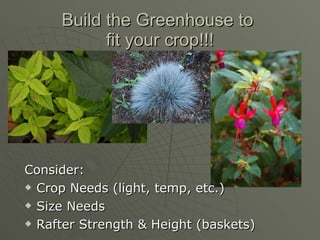 Greenhouse management | PPT
