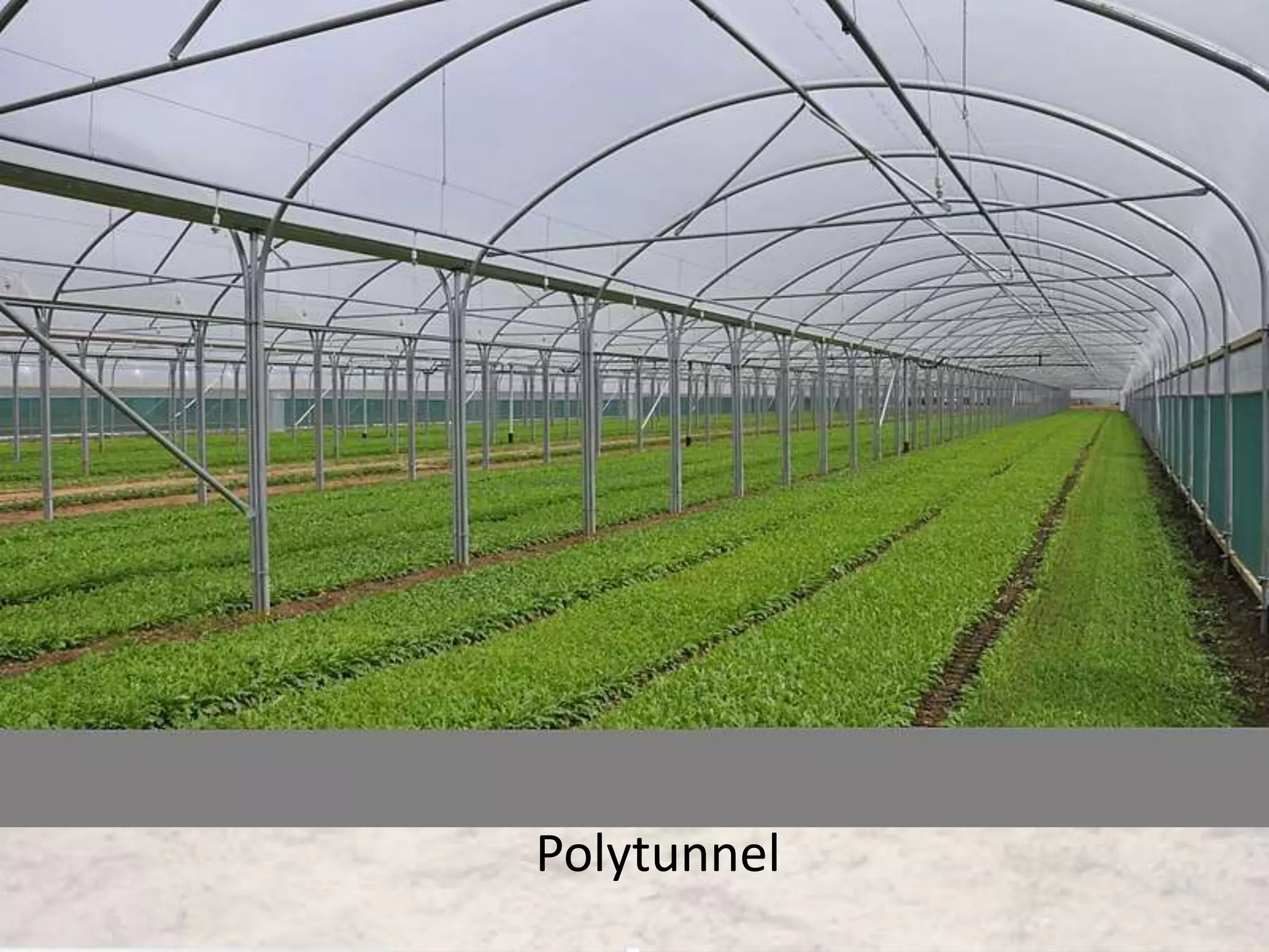 Greenhouse types & its components | PPTX