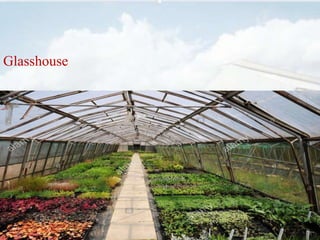 Greenhouse types & its components | PPTX