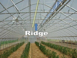 Greenhouse types & its components | PPT