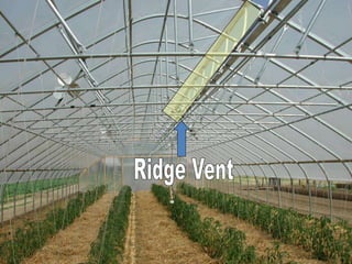 Greenhouse types & its components | PPTX