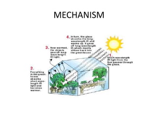 Greenhouse automation ppt | PPTX