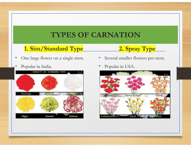 Production technology of carnation under protected structure ...