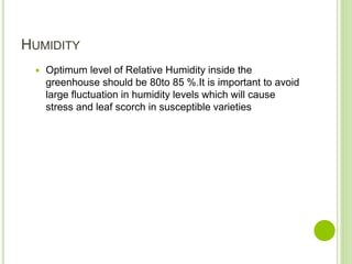 Greenhouse cultivation of lilium | PPTX