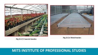 Greenhouse cultivation of pot plants and containers | PPTX