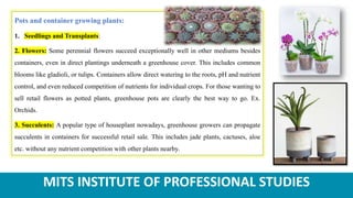 Greenhouse cultivation of pot plants and containers | PPTX