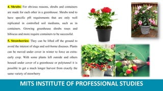 Greenhouse cultivation of pot plants and containers | PPTX