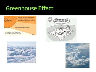 Greenhouse Effect and Greenhouses | PPTX