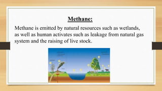 Greenhouse effect, Causes, management | PPTX