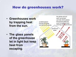 Greenhouseeffect | PPTX | Environmental Services Industry | Industries