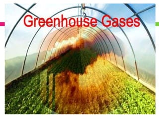 GREENHOUSE effect.pptx | Indoor Environmental Quality | Home & Garden
