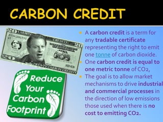 Greenhouse Effect and Global Carbon Footprint | PPTX