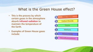 Green house effect and Global Warming | PPTX