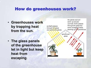 Greenhouse effect (Global Warming) ppt | PPTX
