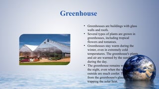 greenhouse effect ppt for the grade 7.pptx