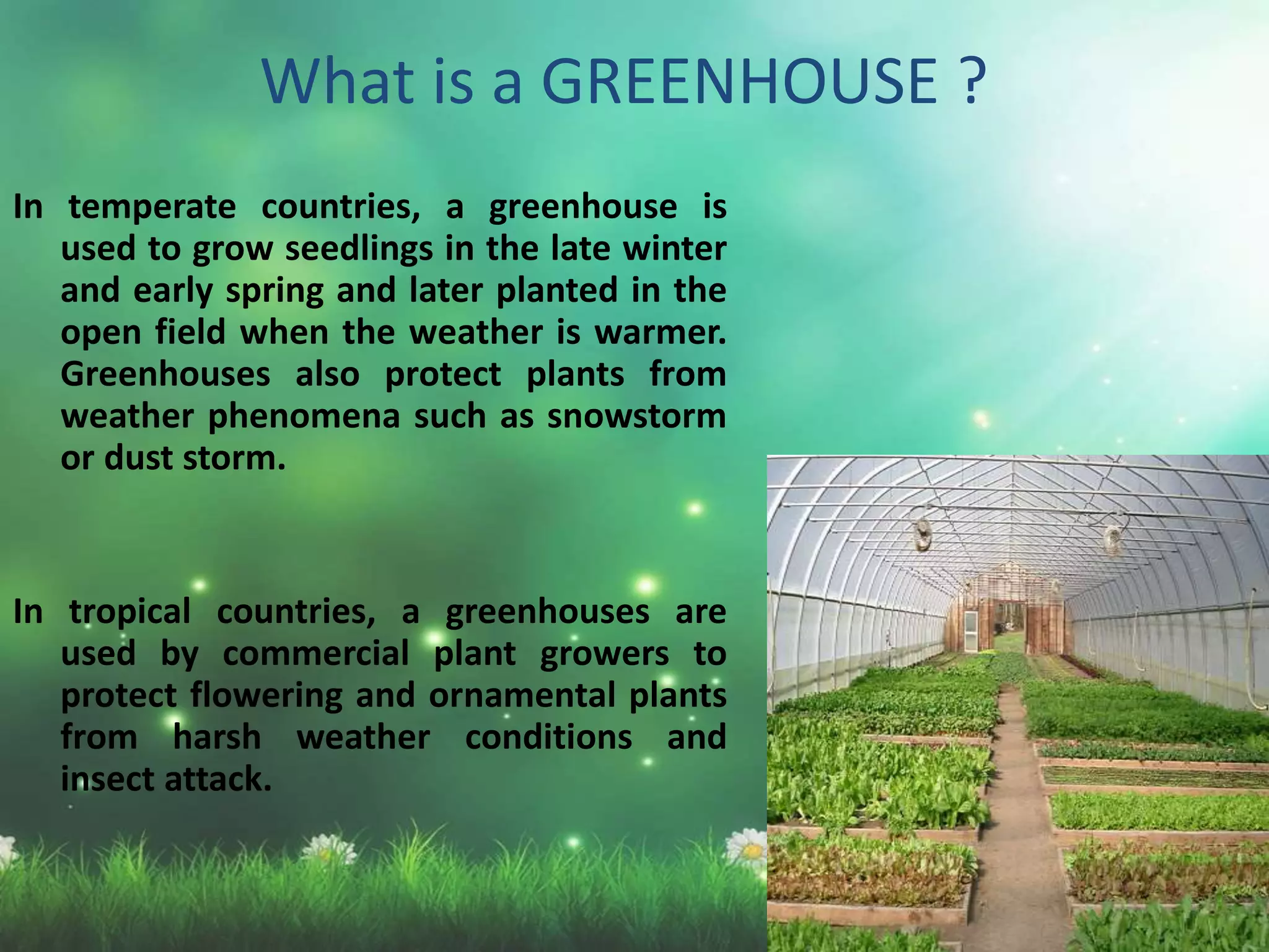 Greenhouse effect With Global Warming (Earth and Space) | PPTX
