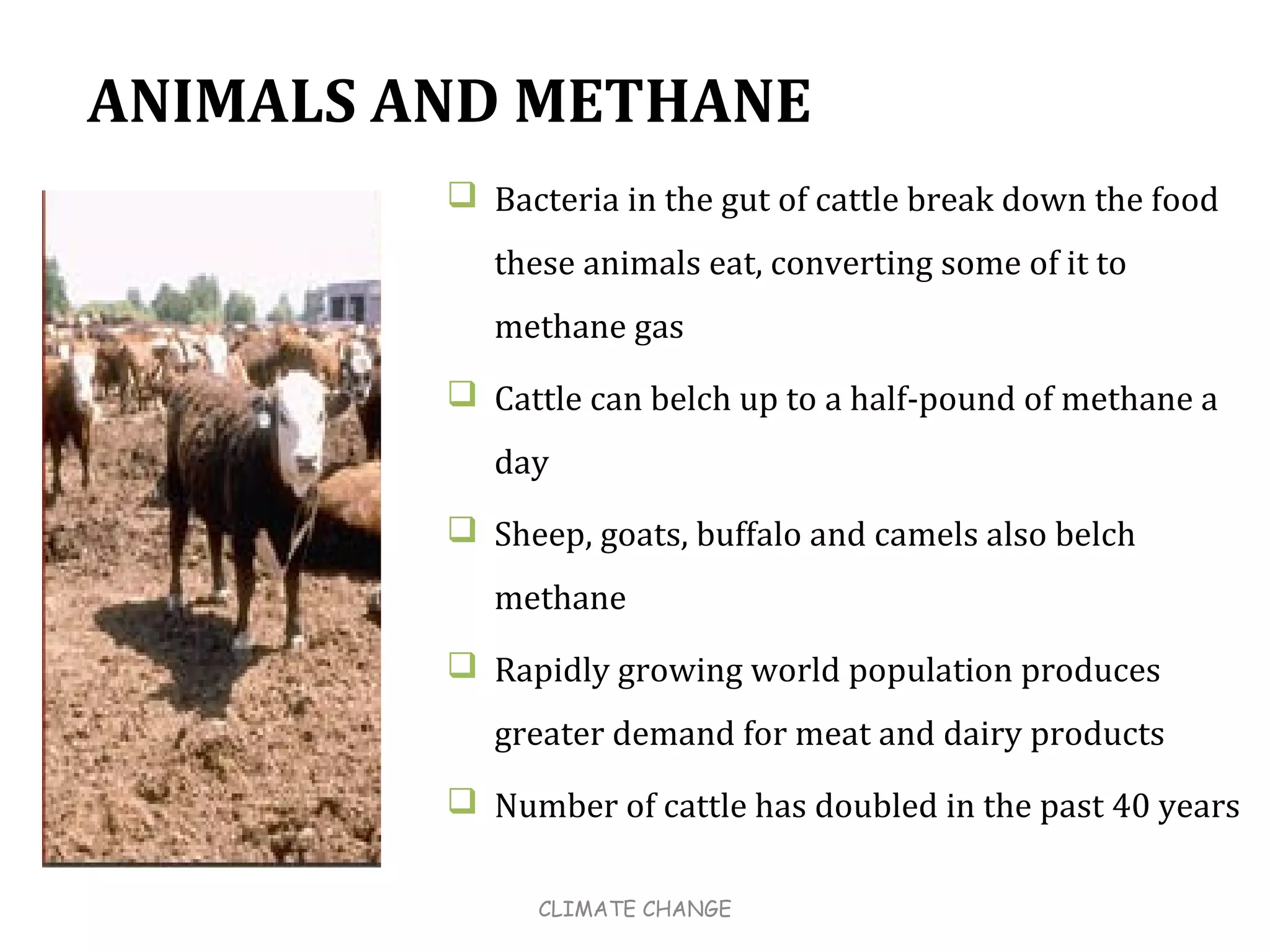 Green house gases | PPT