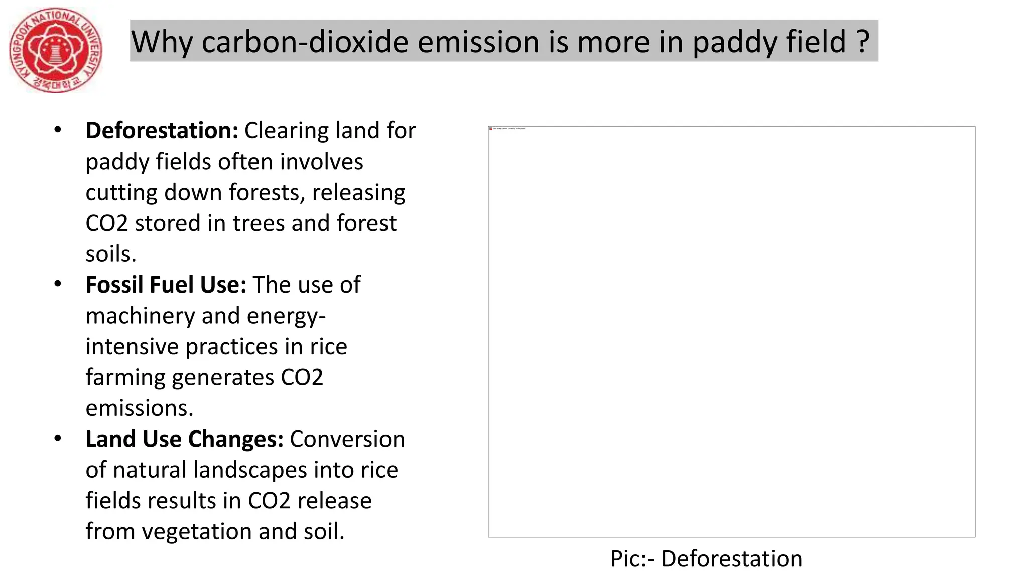 green house gases emission in paddy field and its mitigation.pptx