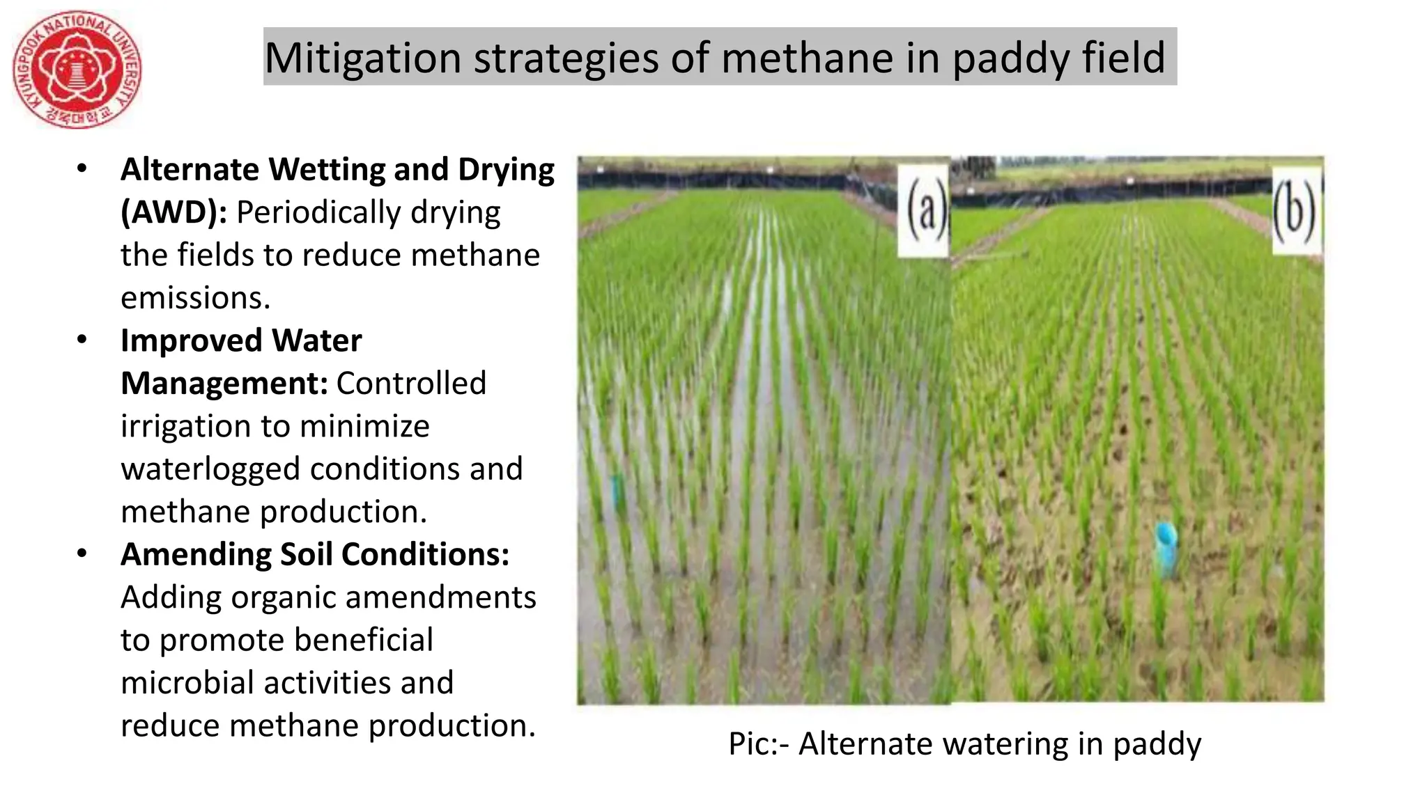 green house gases emission in paddy field and its mitigation.pptx