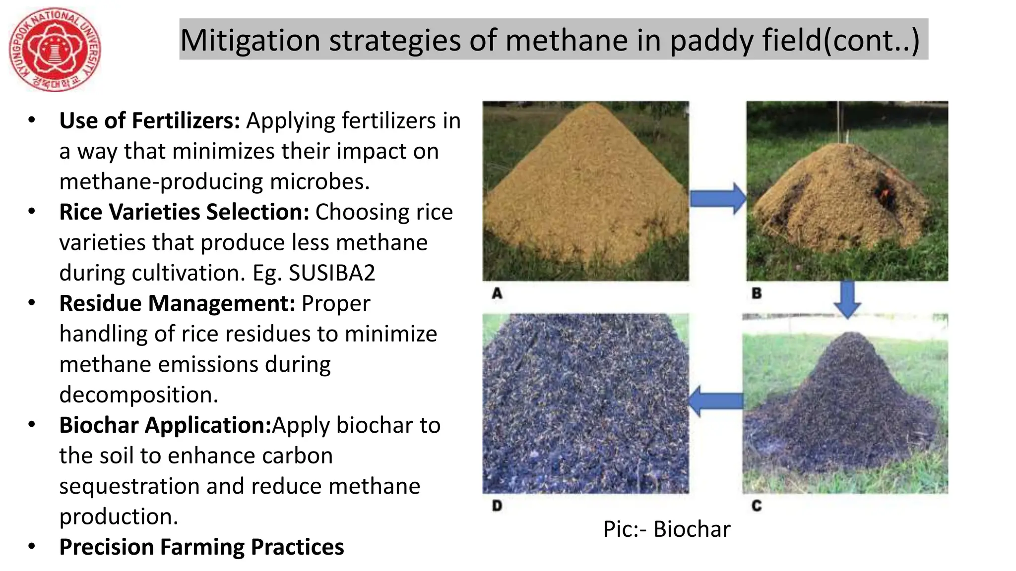 green house gases emission in paddy field and its mitigation.pptx