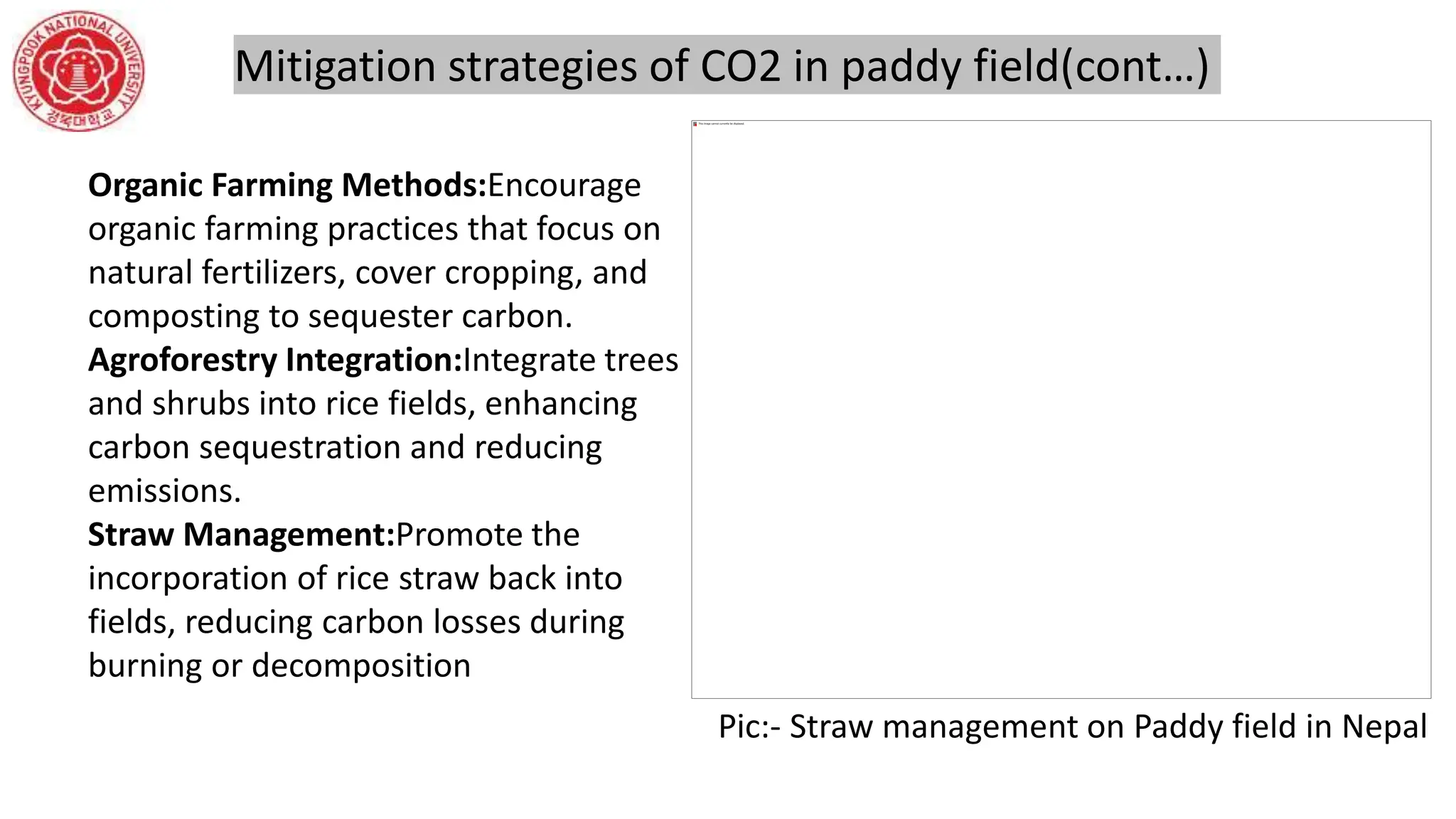 green house gases emission in paddy field and its mitigation.pptx