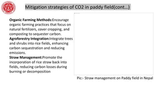 green house gases emission in paddy field and its mitigation.pptx