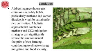 green house gases emission in paddy field and its mitigation.pptx