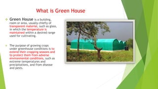 GREENHOUSE | PPTX