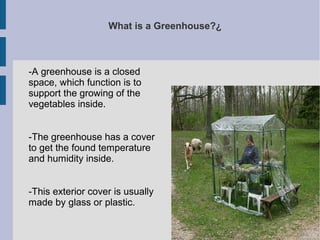 Greenhouse project (1) | ODP