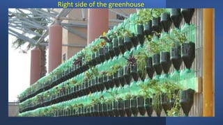Greenhouse proposal and garden fo GsP 2021-2022.pptx