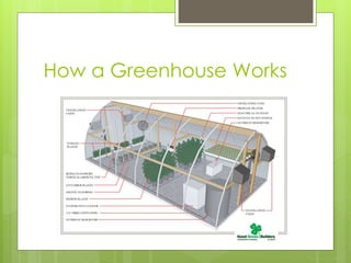 Greenhouses | PPTX