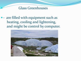 Greenhouses | PPTX