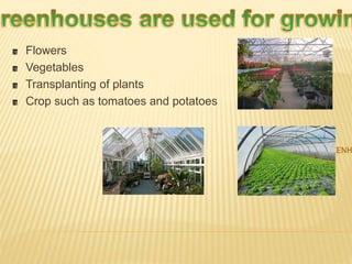 Greenhouses | PPTX