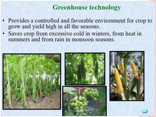 Green house technology introduction | PDF | Agriculture | Industries