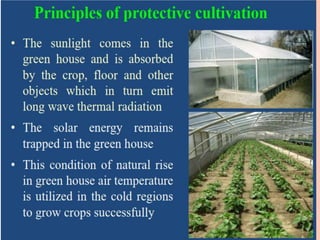 Green house technology introduction | PDF