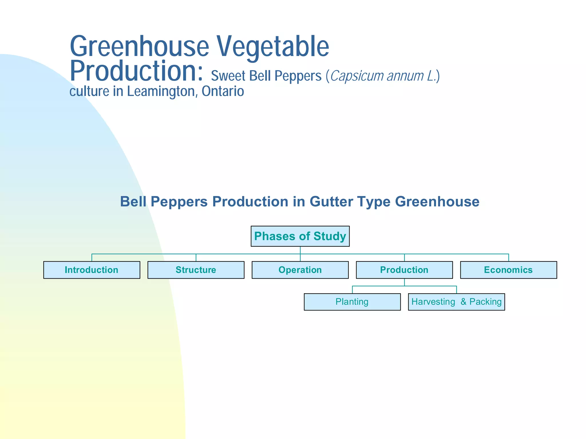 Greenhouse Vegetable Production Background[1] | PDF
