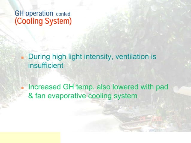 Greenhouse Vegetable Production Background[1] | PPT