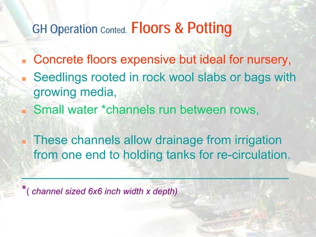 Greenhouse Vegetable Production Background[1] | PPT