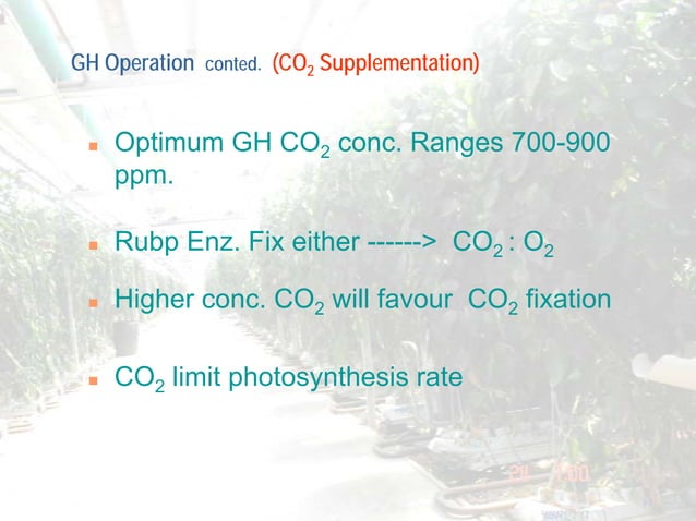 Greenhouse Vegetable Production Background[1] | PPT