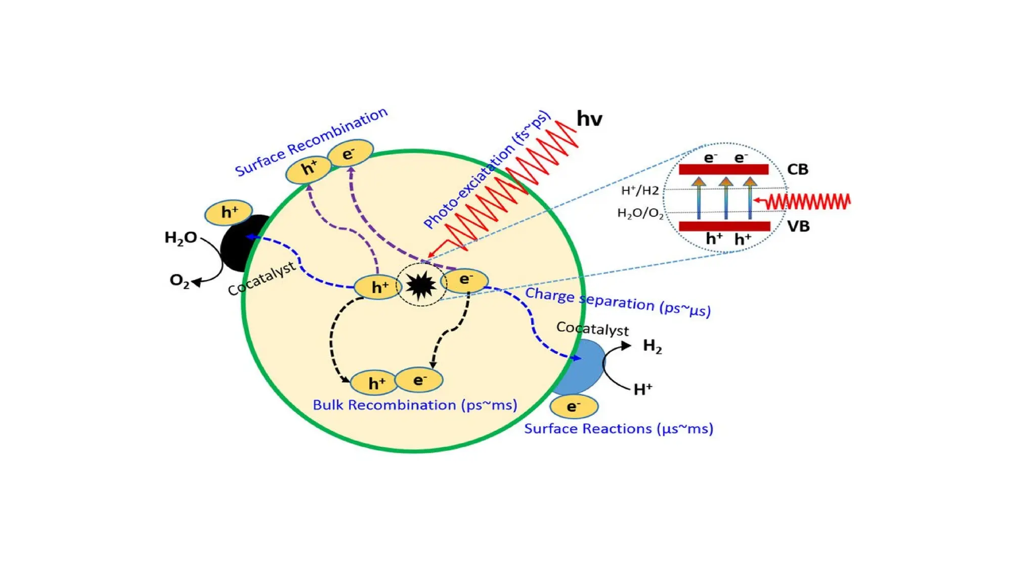 Water Splitting Uses Photocatalysis Devices Produce Green Hydrogen | PPTX
