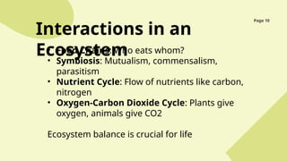 Green Illustration Environmental Sustainability Presentation.pptx