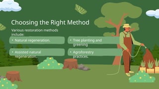 Green Illustrative Forest Restoration Presentation.pptx
