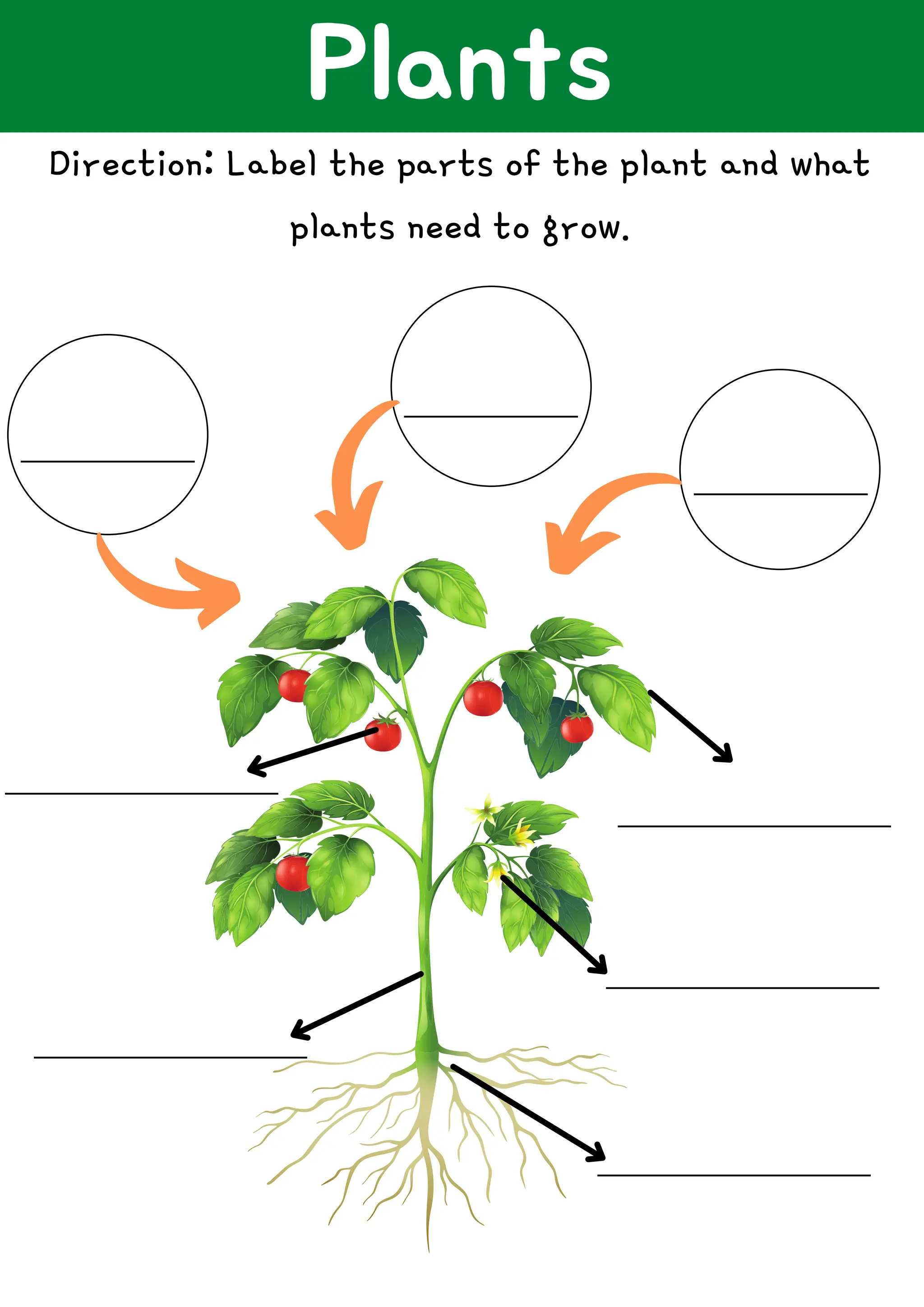 Plant Parts Science Worksheet.pdf