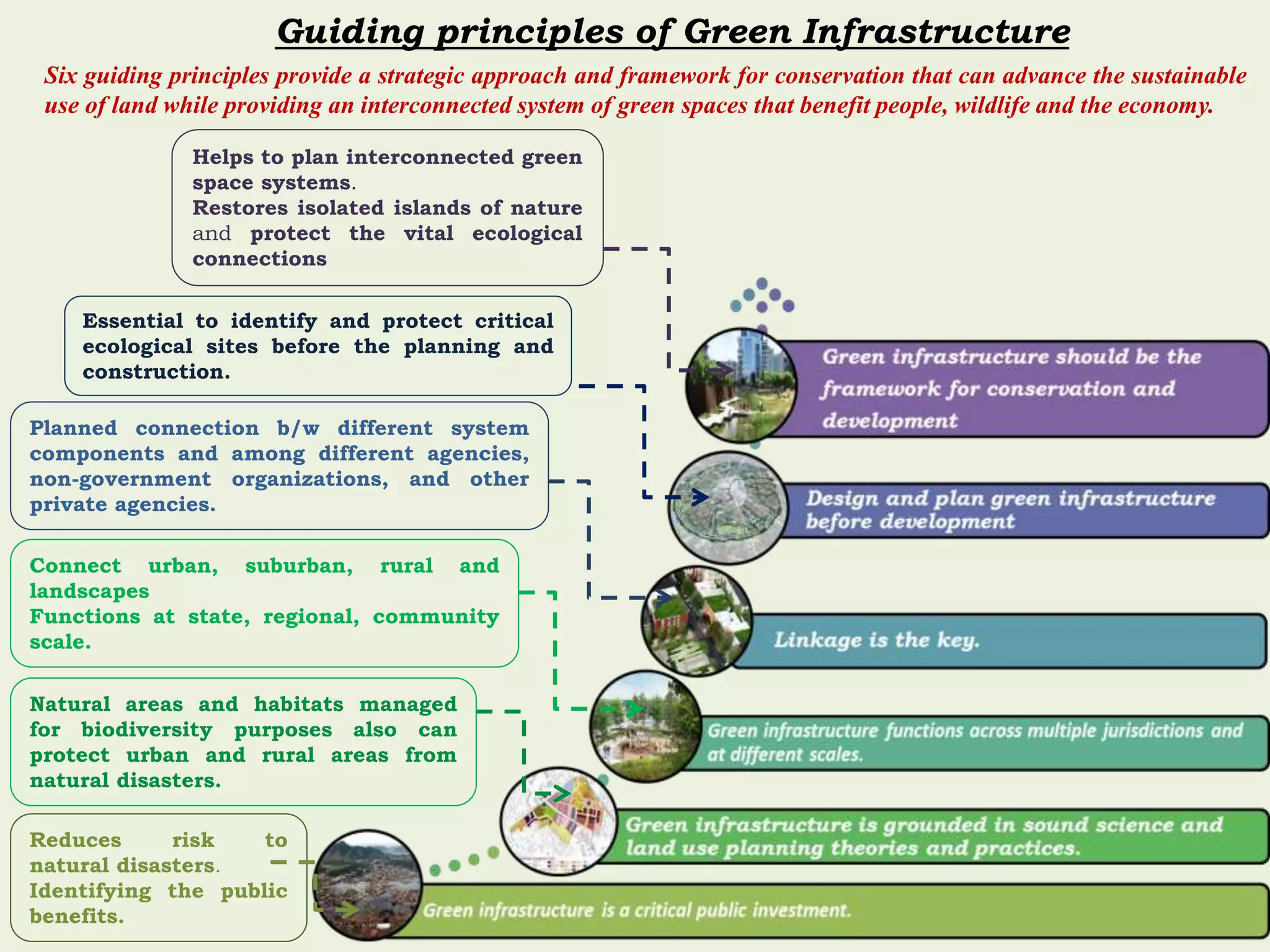 Presentation on Green infrastructure for Urban Areas | PPTX