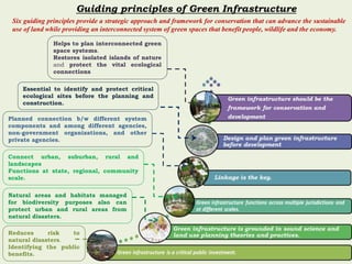 Presentation on Green infrastructure for Urban Areas | PPTX